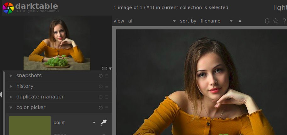 Darktable An Open Source Photography Application For Ubuntu Photo Darktable An Open Source Photography Application For Ubuntu Photo