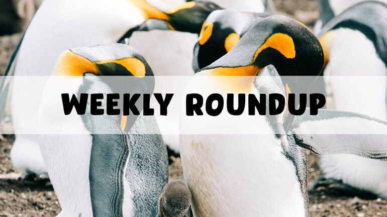 debugpoint.com - Page 13 of 36 - tutorials | how-to guides | app highlights