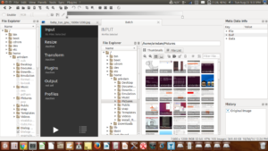 nomacs - RAW, psd Image Viewer for Linux
