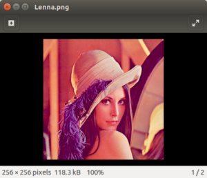Quickly Resize, Convert Images From Terminal Using Mogrify in Ubuntu