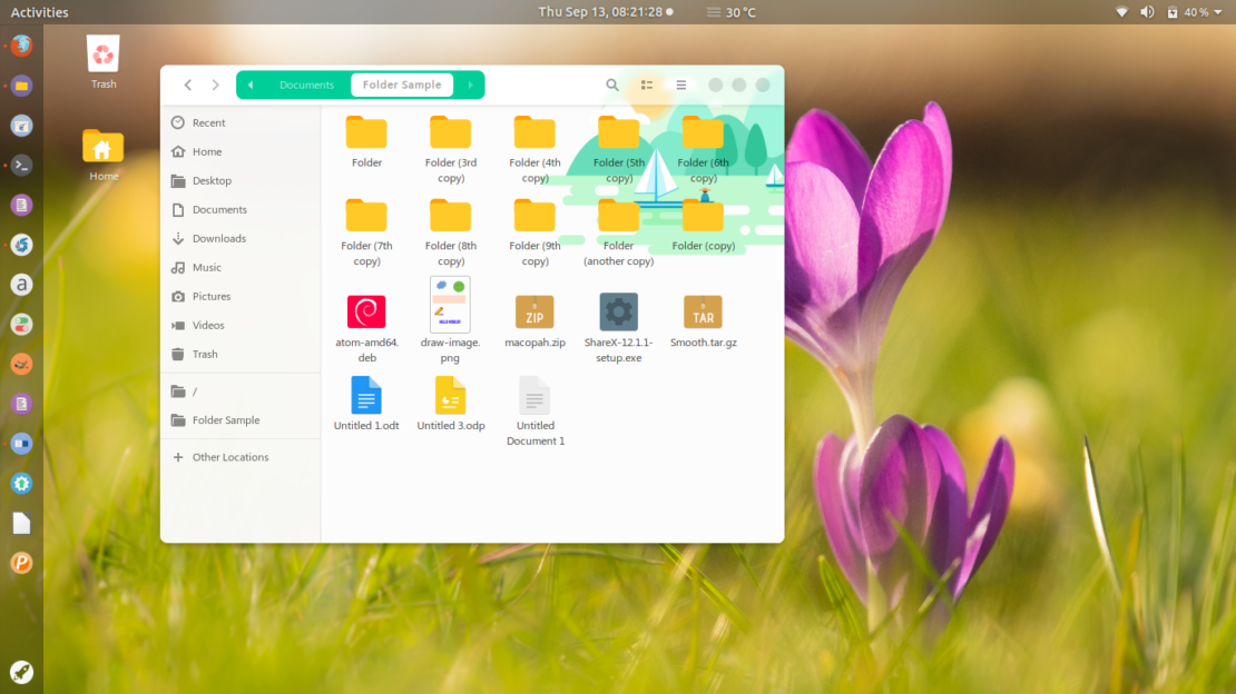 Give Your Ubuntu a Fresh Look Using Canta Theme and Icons