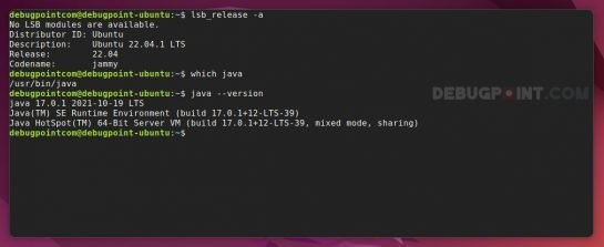 How to Install Java 17 in Ubuntu 22.04, 22.10, Linux Mint 21