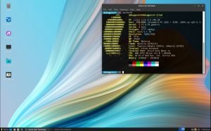 Top 10 Linux Distro for Beginners in 2024 [With Pros & Cons]