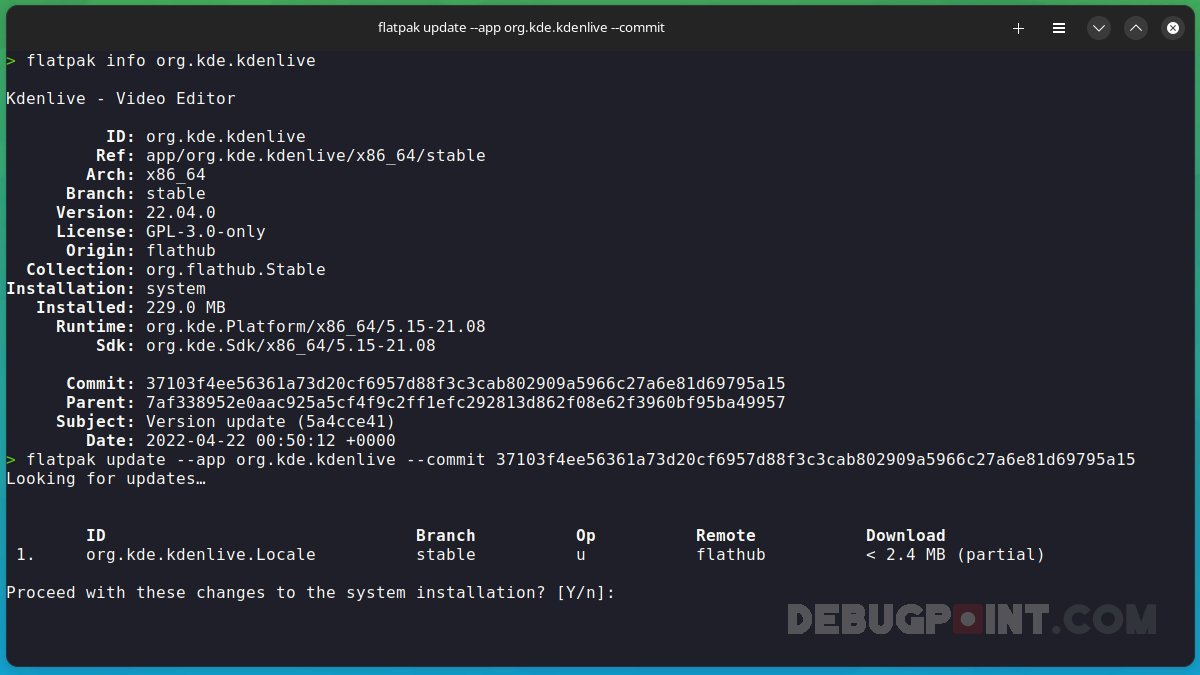 Become A Pro Flatpak User By Learning These Commands