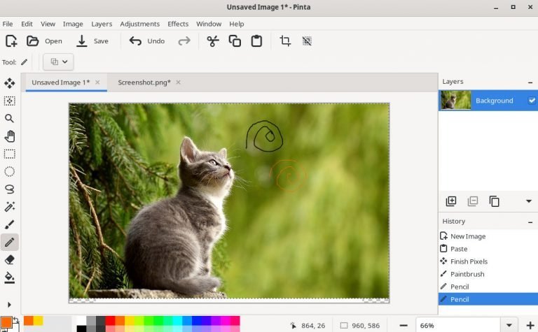 Install Latest MS Paint Alternative Pinta in Ubuntu and Other Linux