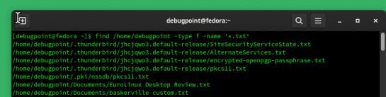 Find Files and Directories in Linux from Command Line [Examples]