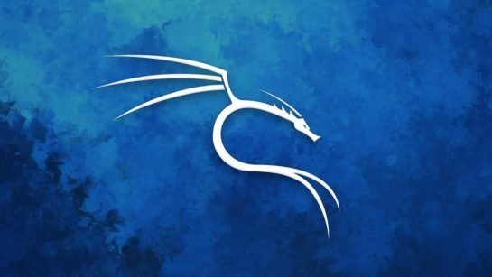 Kali Linux Archives - DebugPoint.com