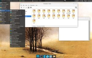 Top 10 Best Themes for Xfce Desktop