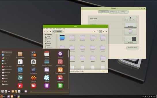 10 Best Linux Mint Themes for Everyone