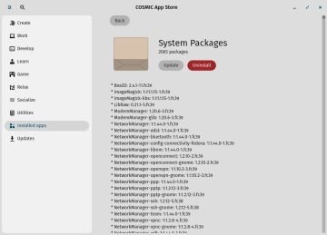Exploring Cosmic Desktop: A Detailed First Look