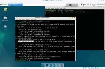 How to Access Server in VirtualBox from Host Machine